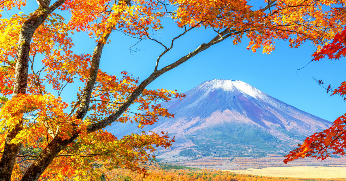 GC announces One Week of Excellence in Japan in October 2026