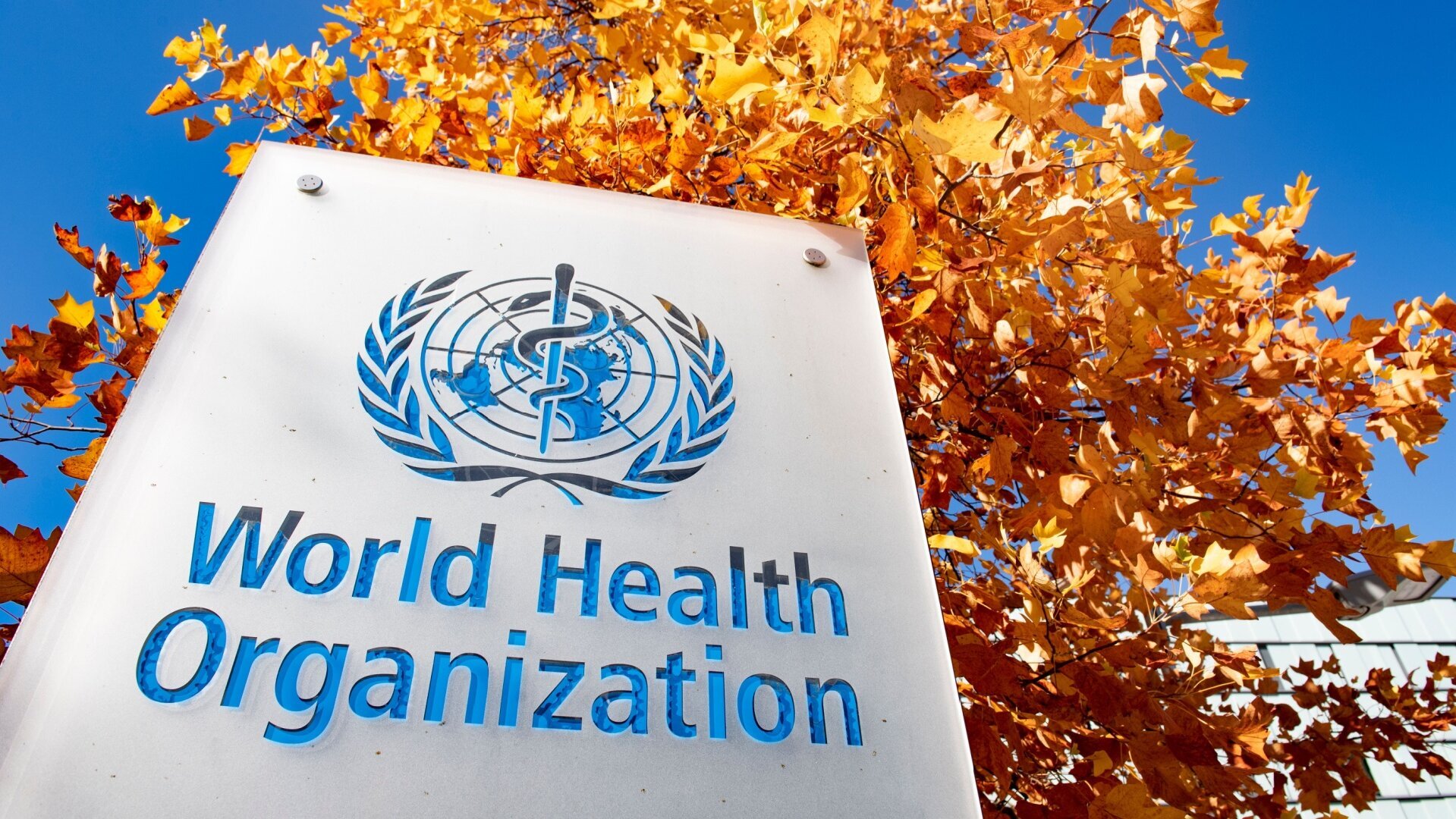 WHO unveils new global strategy for oral health