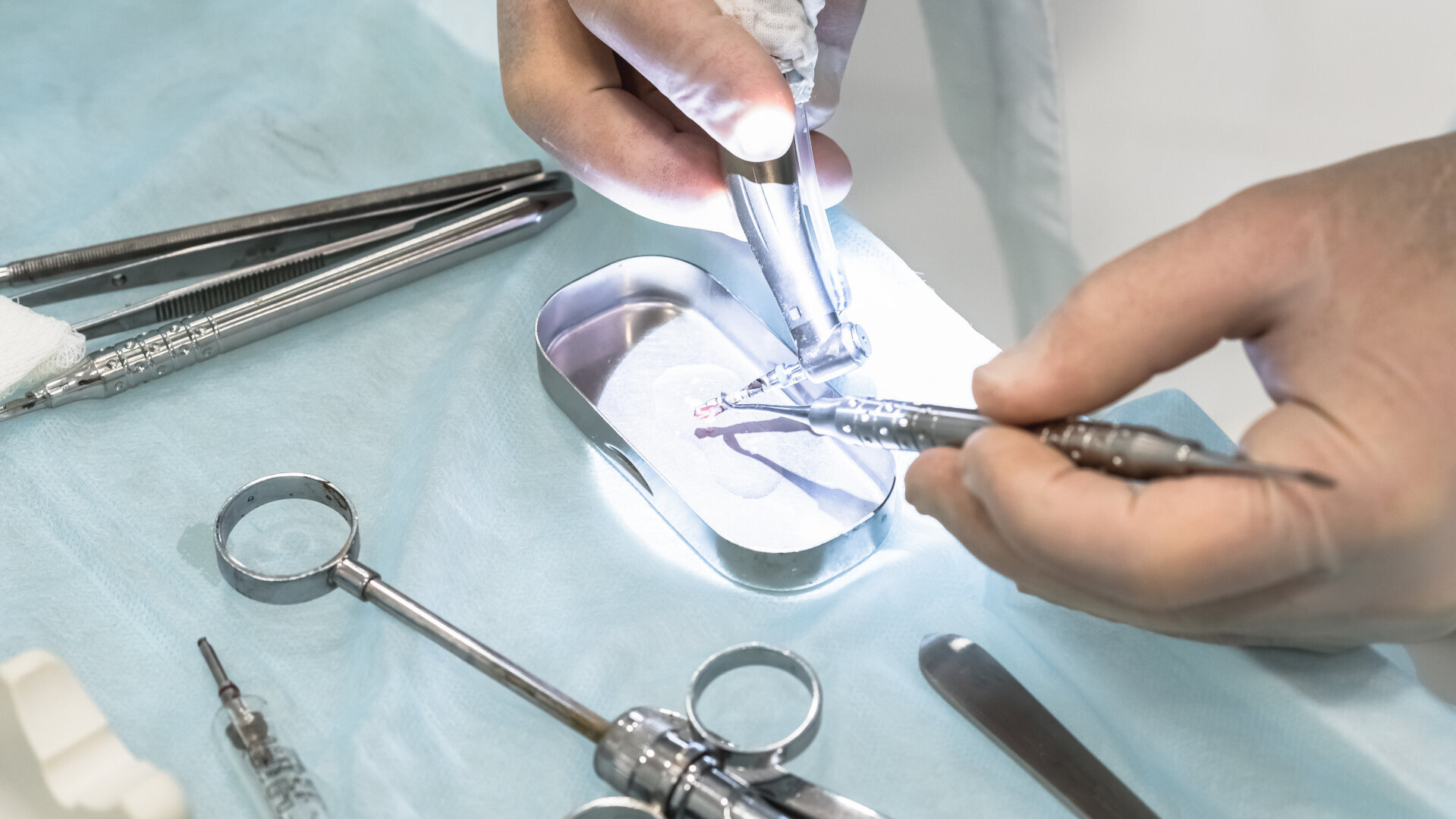 FDA finalises animal study guidance for bone graft devices